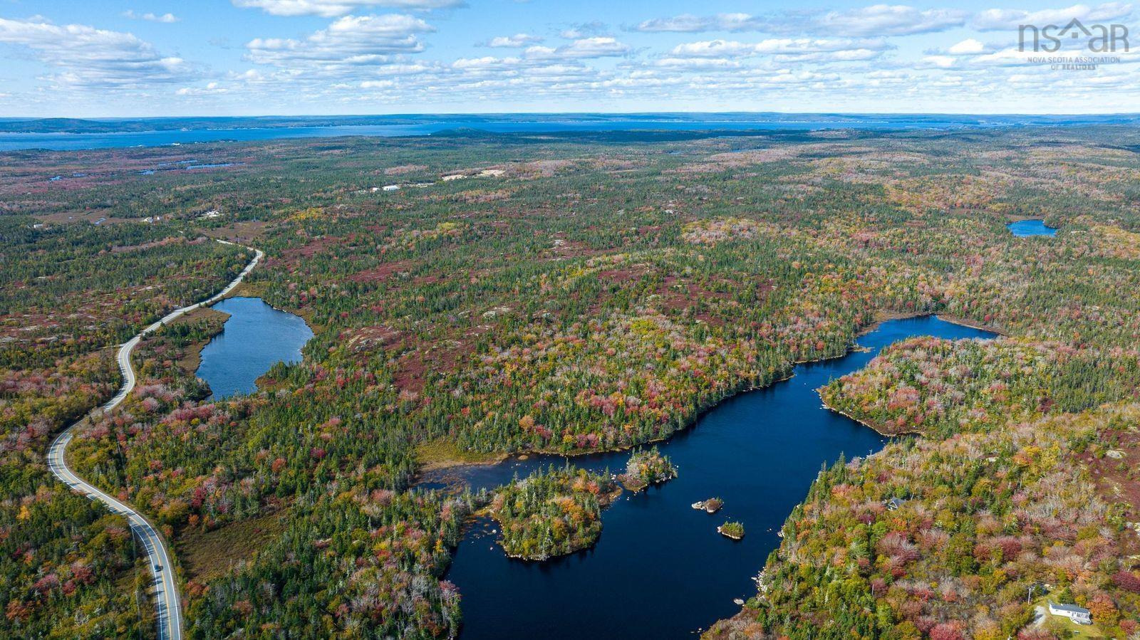 Listings - Domus Realty